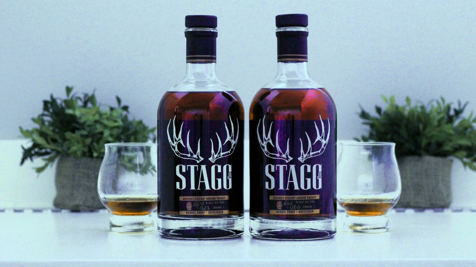 Stagg Jr. Batch 12 vs. Batch 13 Comparison Review