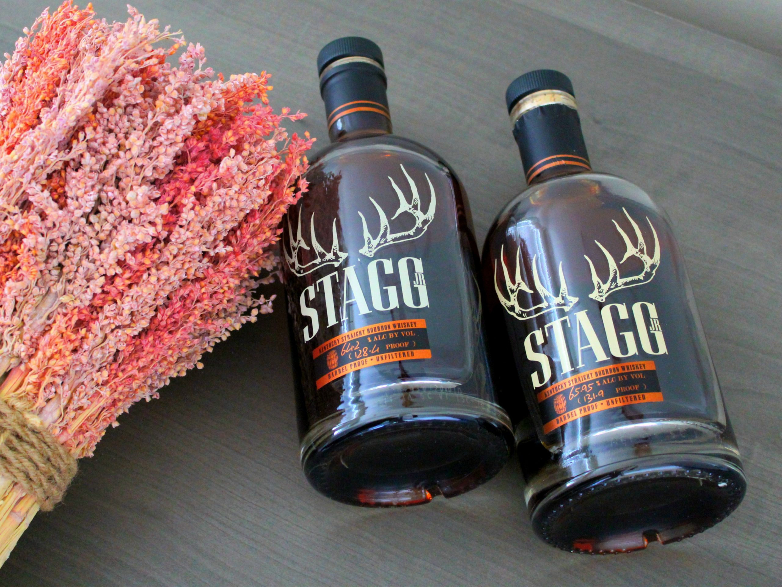 Stagg Jr. Comparison Joint Review (Batch 9 vs Batch 13)